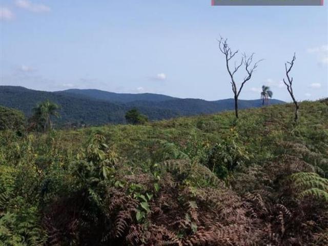 Terreno à venda em Rio Acima
