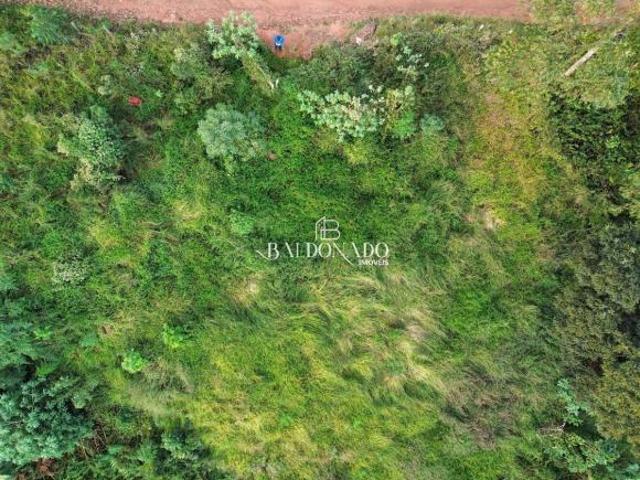 TERRENO A VENDA EM TOLEDO MG 2 HECTARES 20 MIL METROS COM NASCENTE