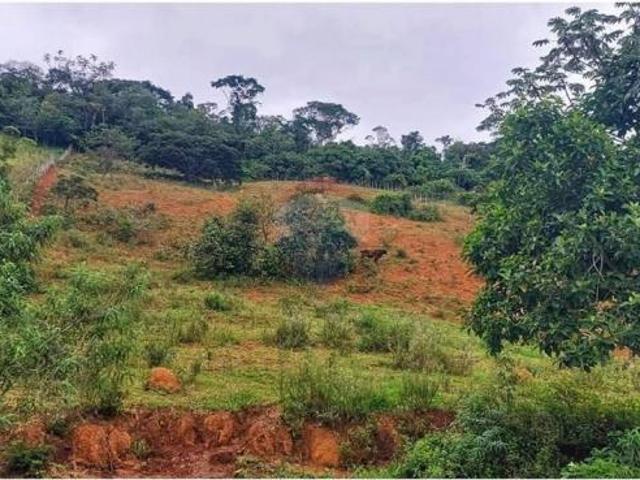 Terreno a venda em Torreões de 20 mil metros quadrados