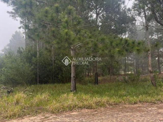 Terreno à venda em Torres
