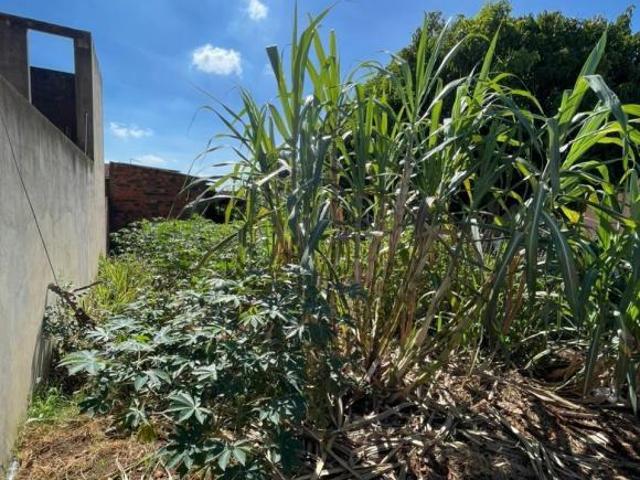 Terreno à venda em Tatuí SP, Jardim Santa Rita de Cássia, 250,00 m² de área! Venha conferir!