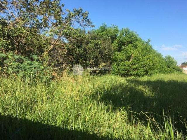 Terreno à venda em Taubaté, Parque São Cristóvão, com 650 m²
