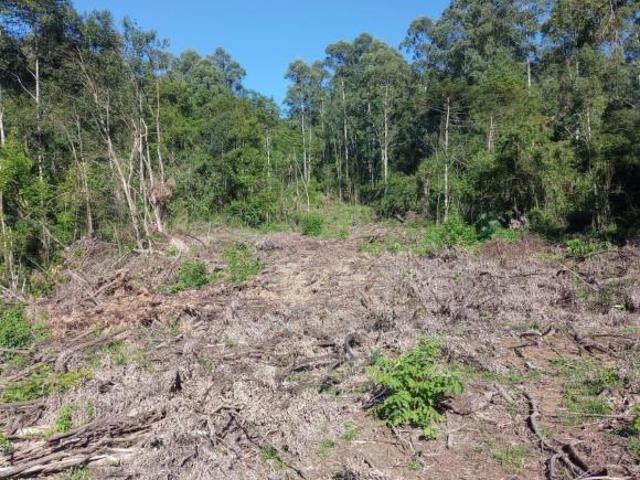 Terreno à venda em Taquara
