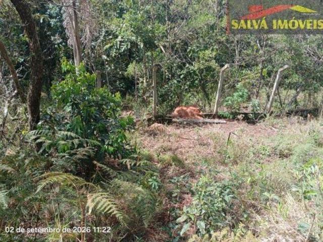 Terreno à venda em Terra Preta