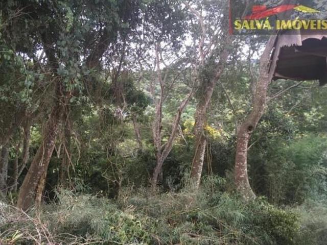 Terreno à venda em Terra Preta
