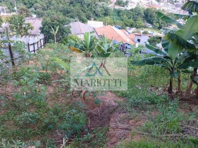 Terreno à Venda em Terra Preta 300m²