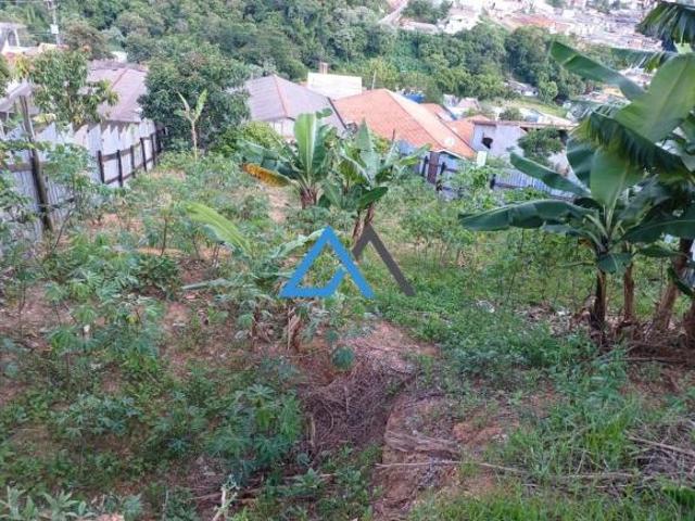 Terreno à Venda em Terra Preta 300m²
