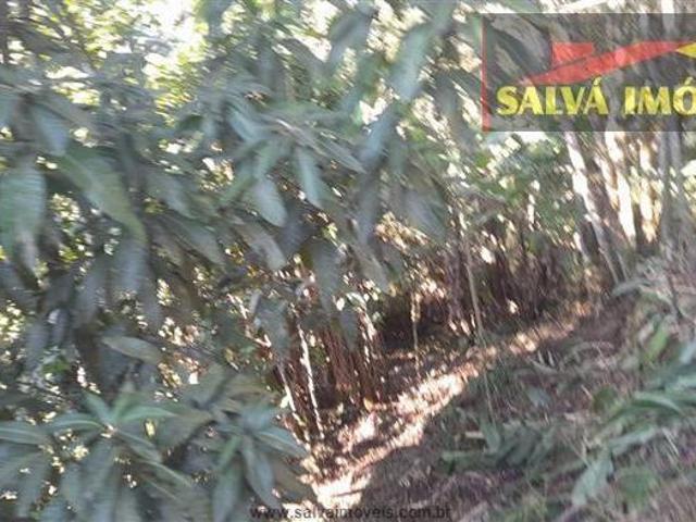Terreno à venda em Terra Preta