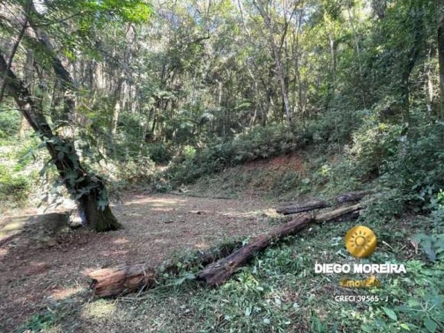 TERRENO À VENDA EM TERRA PRETA!