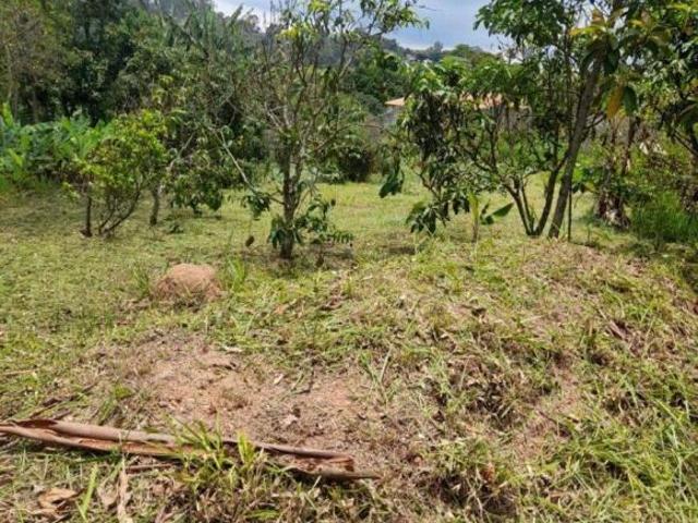 Terreno à venda em Terra Preta