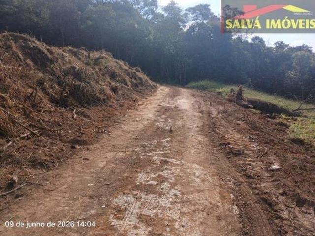 Terreno à venda em Terra Preta