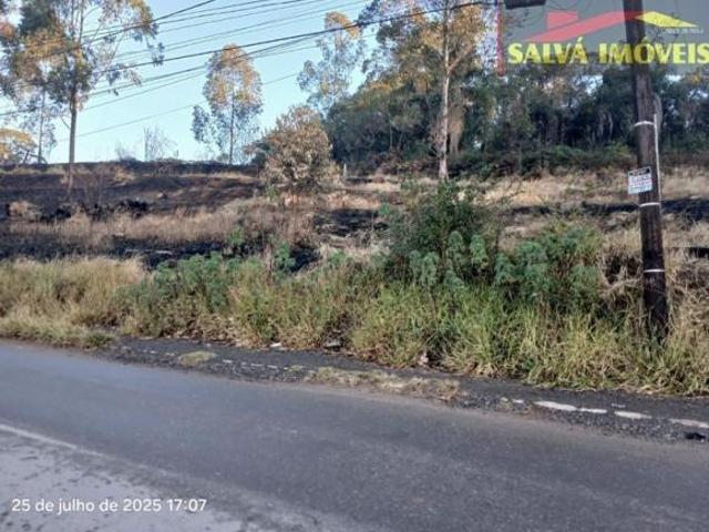 Terreno à venda em Terra Preta