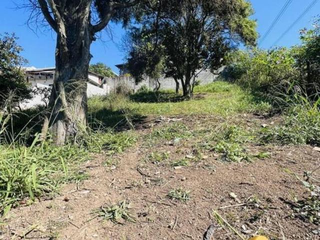 Terreno á venda em Terra Preta com 308 metros
