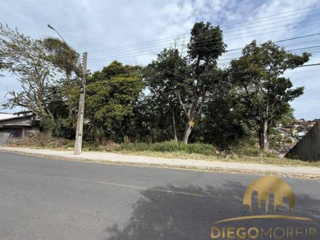 Terreno à Venda em Terra Preta – Mairiporã!