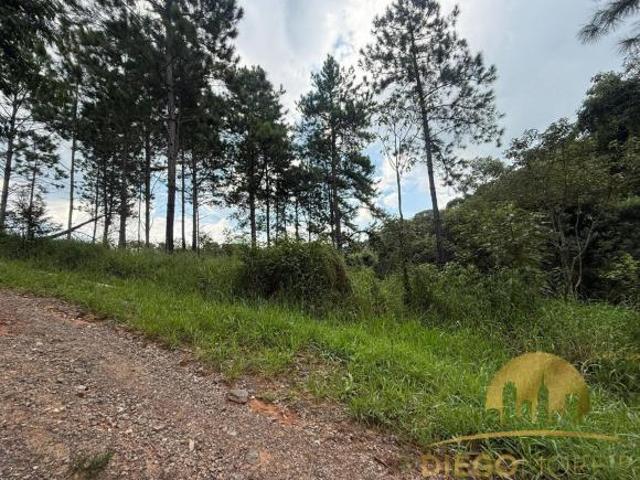 Terreno à venda em Terra Preta – Vista para a natureza