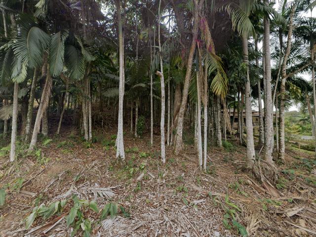 Terreno à Venda em Testo Salto, Blumenau 2.925,60 m² Ref 302