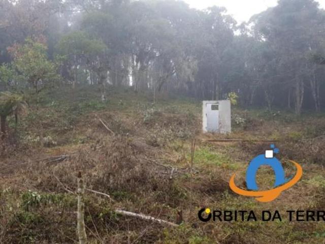 Terreno à venda em Tijucas do Sul PR, bairro Matulão, com 50.000m² de área! A oportunidade que você