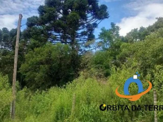 Terreno à venda em Tijucas do Sul PR, bairro Rural, com 10.131,00 m² de área Oportunidade imperdív