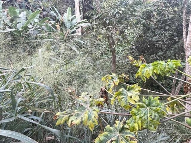 Terreno à venda em Tremembé SP