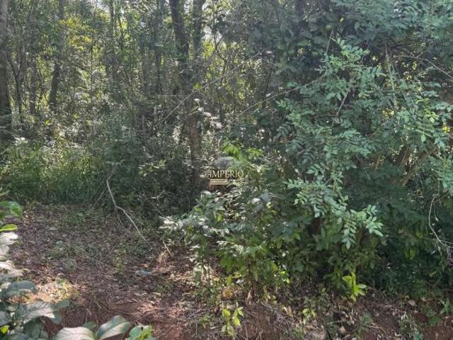 Terreno à venda em Três Coroas RS, no bairro Figueiras, com 787,50 m² de área! Aproveite essa oportu