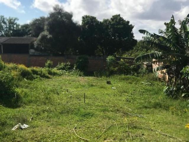 Terreno à venda em Tristeza