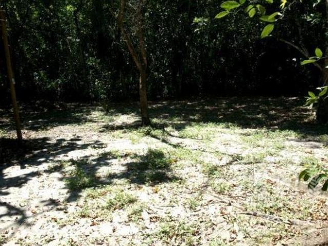 TERRENO A VENDA EM UBATUBA SP/ UBATUMIRIM