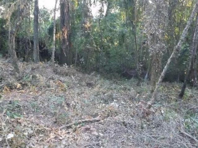 Terreno à venda em Valinhos, Jardim Portugal, com 20000 m², Parque da Floresta