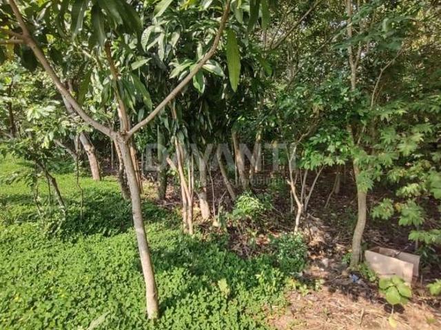 Terreno à venda em Valinhos no Quinta do Pradinho