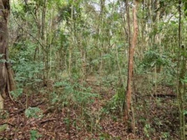 Terreno à venda em Vargem