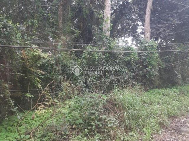 Terreno à venda em Viamão Bairro Fiuza