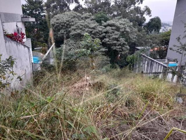 Terreno à venda em Vila albertina SP
