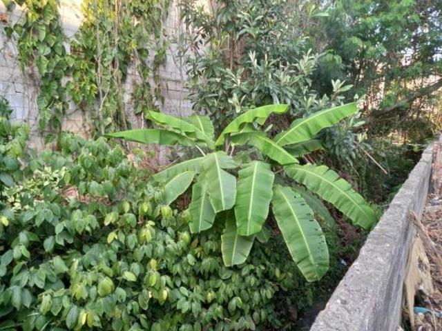 Terreno à venda em Vila albertina SP