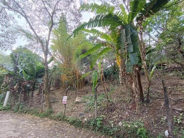 Terreno à venda em Vila amélia SP
