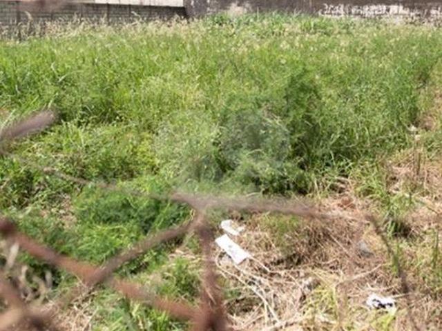 Terreno à venda em Vila ede SP