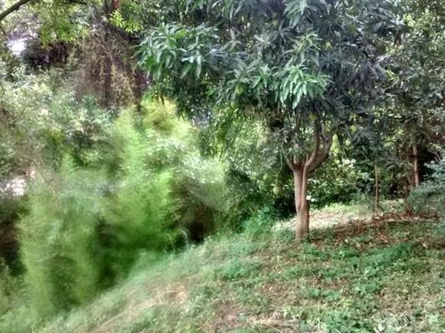 Terreno à venda em Vila guaca SP