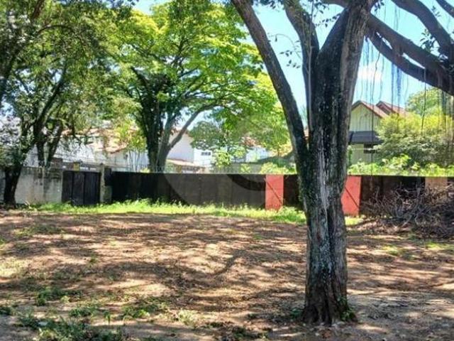 Terreno à venda em Vila hamburguesa SP