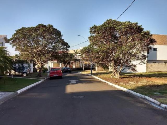 terreno à venda em Vila Hollândia