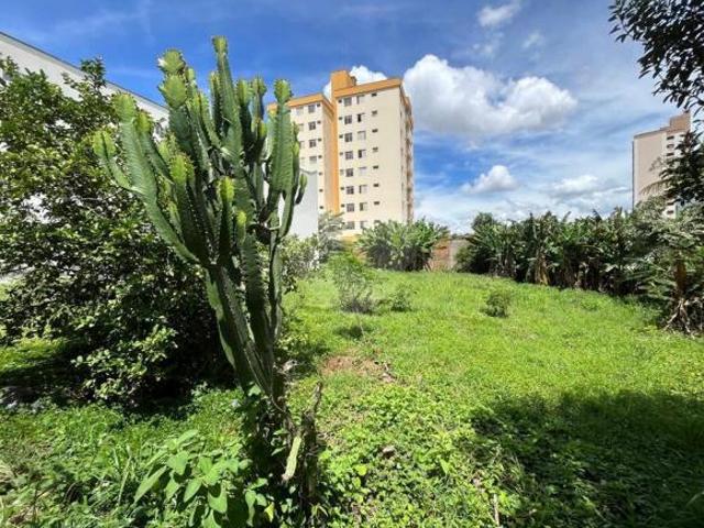 Terreno à venda em Vila independência SP