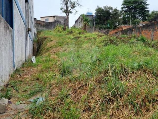 Terreno à venda em Vila indiana SP