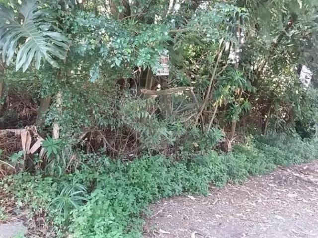 Terreno à venda em Vila irmãos arnoni SP