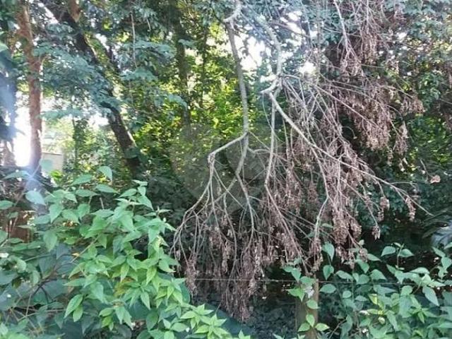 Terreno à venda em Vila Irmãos Arnoni SP