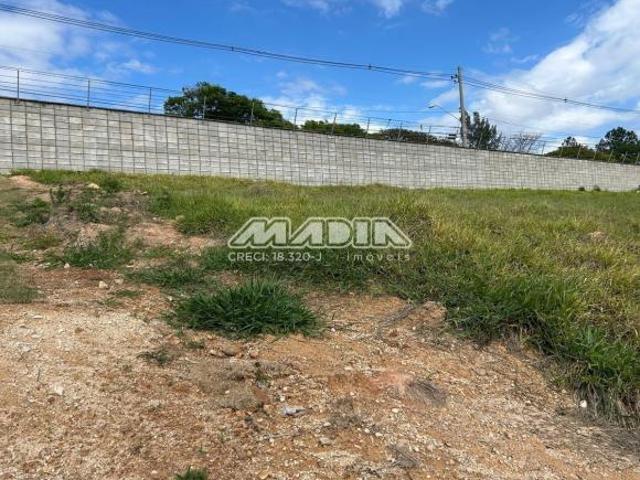terreno à venda em Vila Junqueira