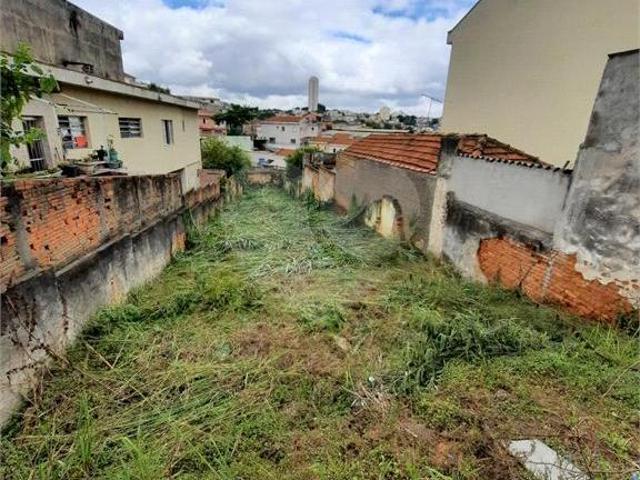 Terreno à venda em Vila lúcia elvira SP