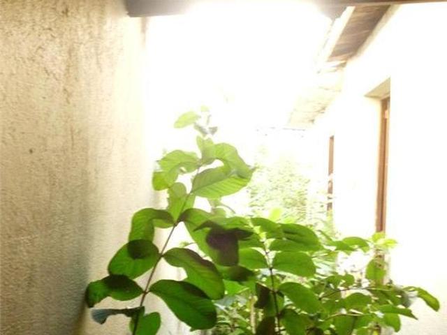 Terreno à venda em Vila maria SP