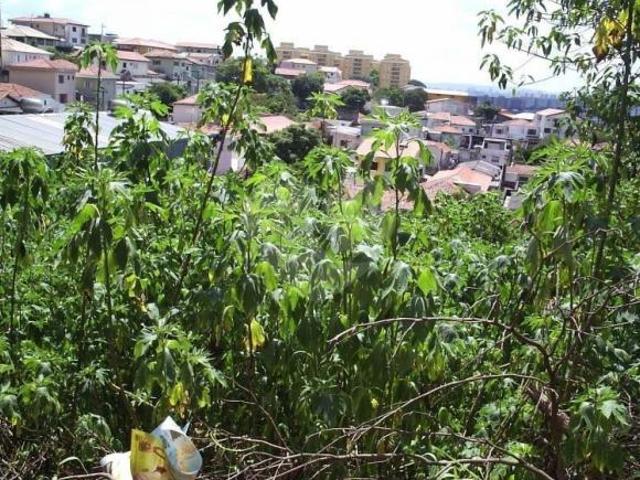 Terreno à venda em Vila morse SP