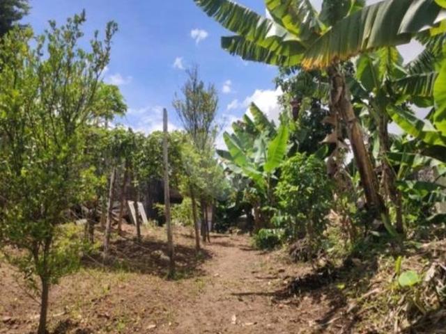 Terreno à venda em Vila nova mazzei SP