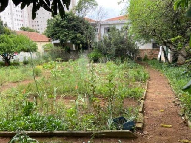 Terreno à venda em Vila nova curuçá SP