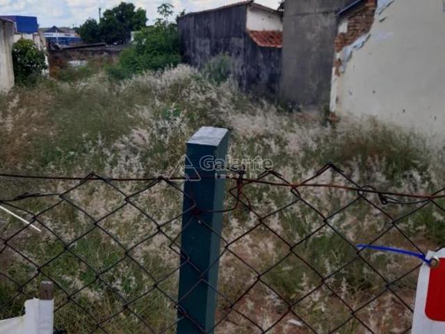 terreno à venda em Vila Nova