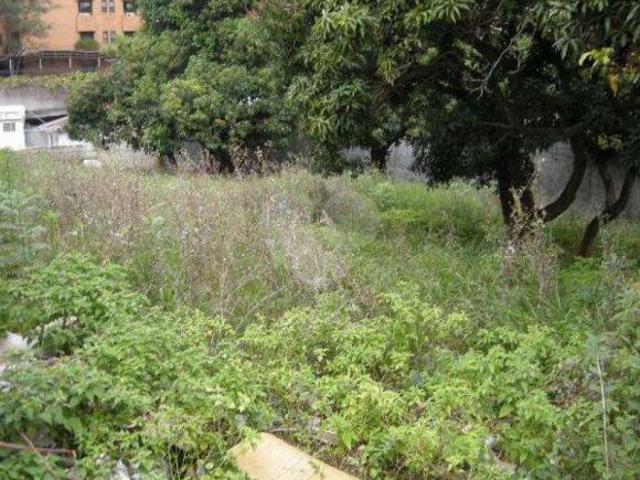 Terreno à venda em Vila progredior SP