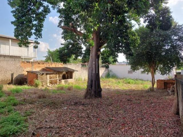 terreno à venda em Vila Presidente Médici